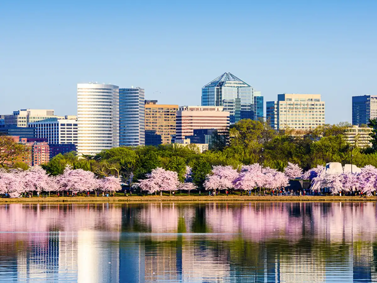 Specialty Programs in Phoenix, AZ with Farmer Woods Group