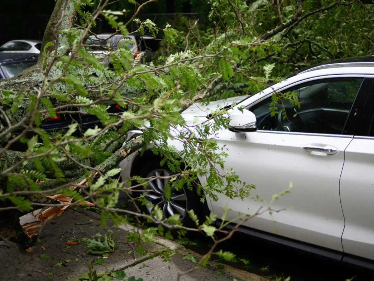 Automobile Physical Damage Coverage | Hennessey, Thames & Leavitt