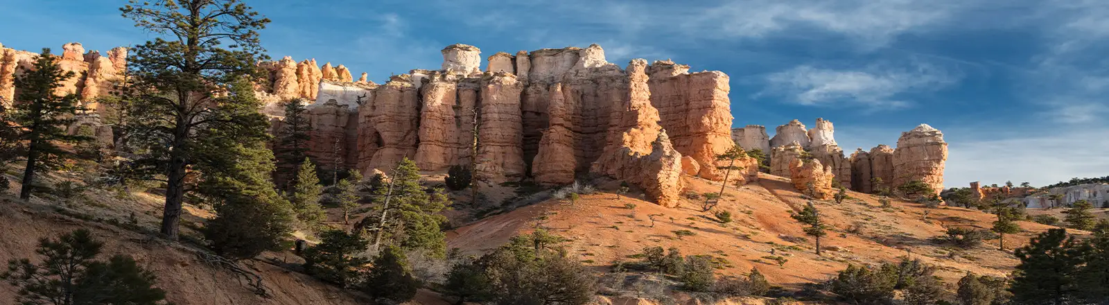 About Us | Dixie Leavitt Agency