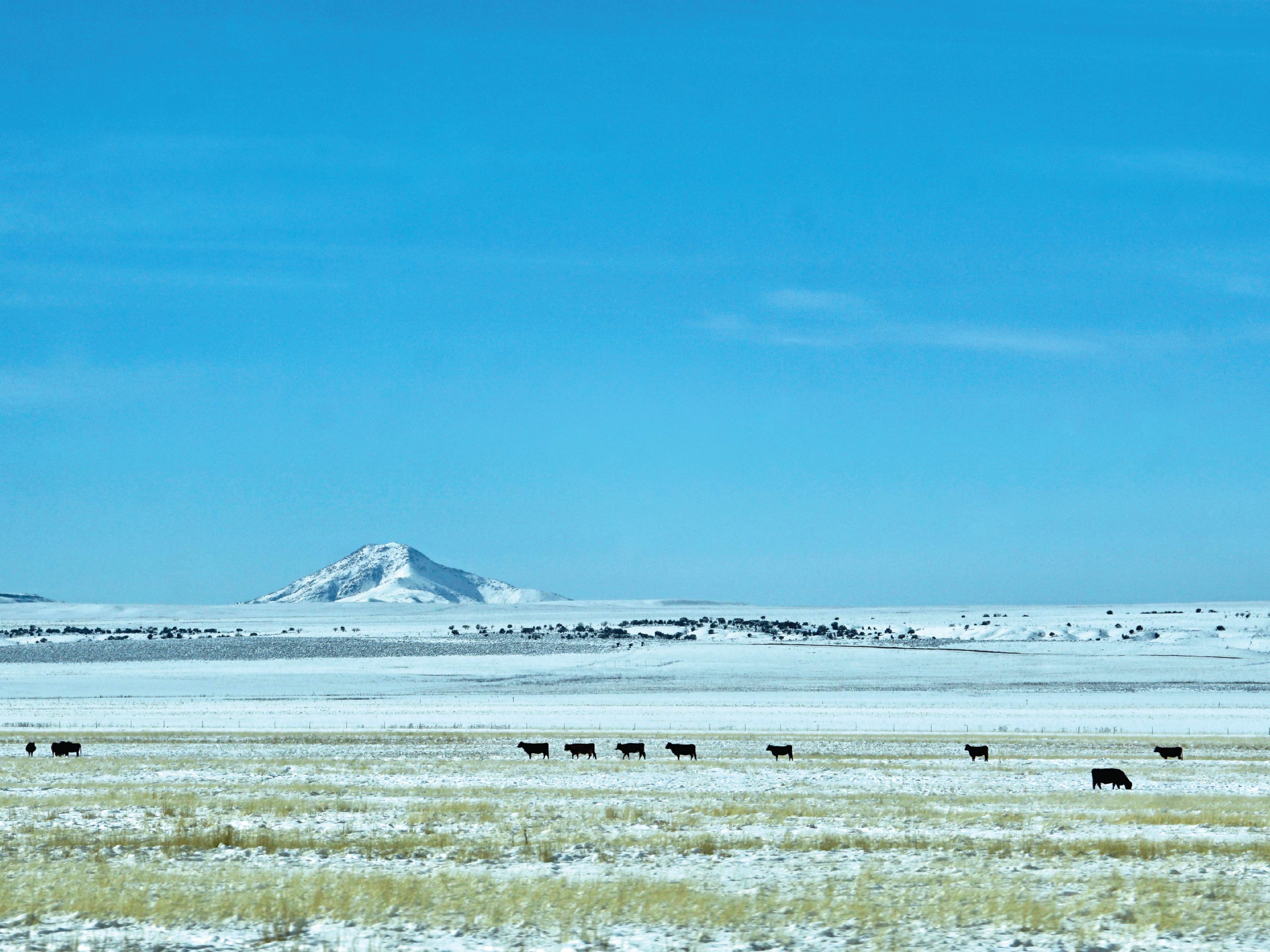 Insurance Agency Near Me | Shelby, MT | Leavitt Great West Insurance