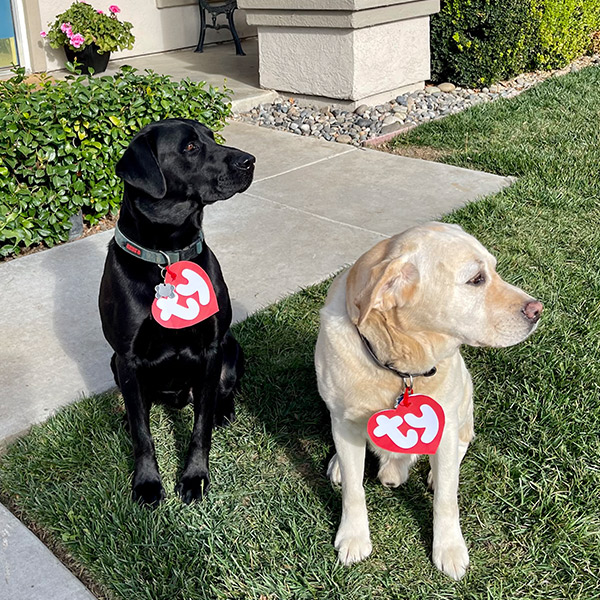 Denise O'Laughlin | Principal, Employee Benefits Practice Leader ...