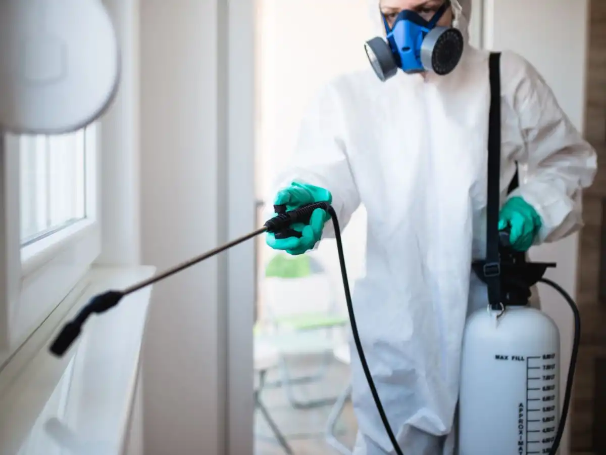 Insurance For Your Pest Control Business | Stafford-Leavitt Insurance ...